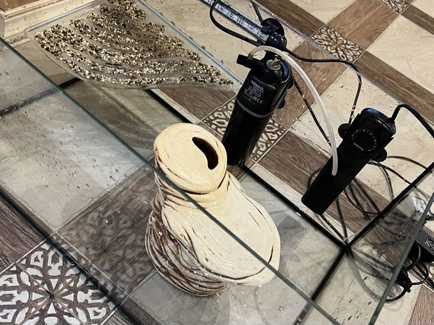 Аквариум для черепах