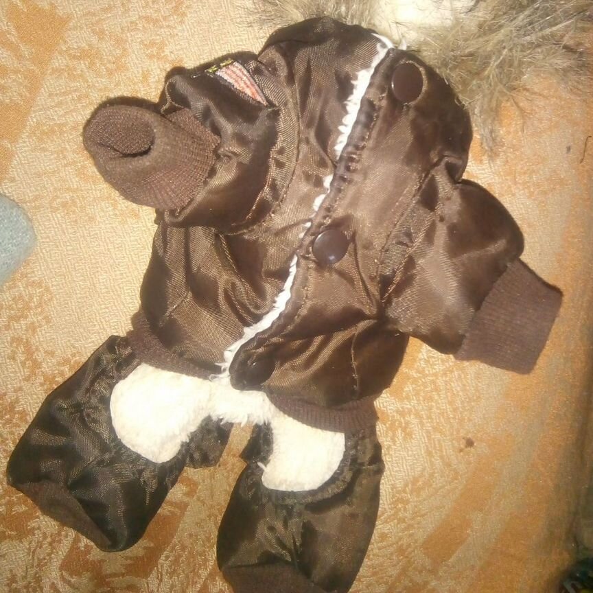 Одежда мелкой собачке