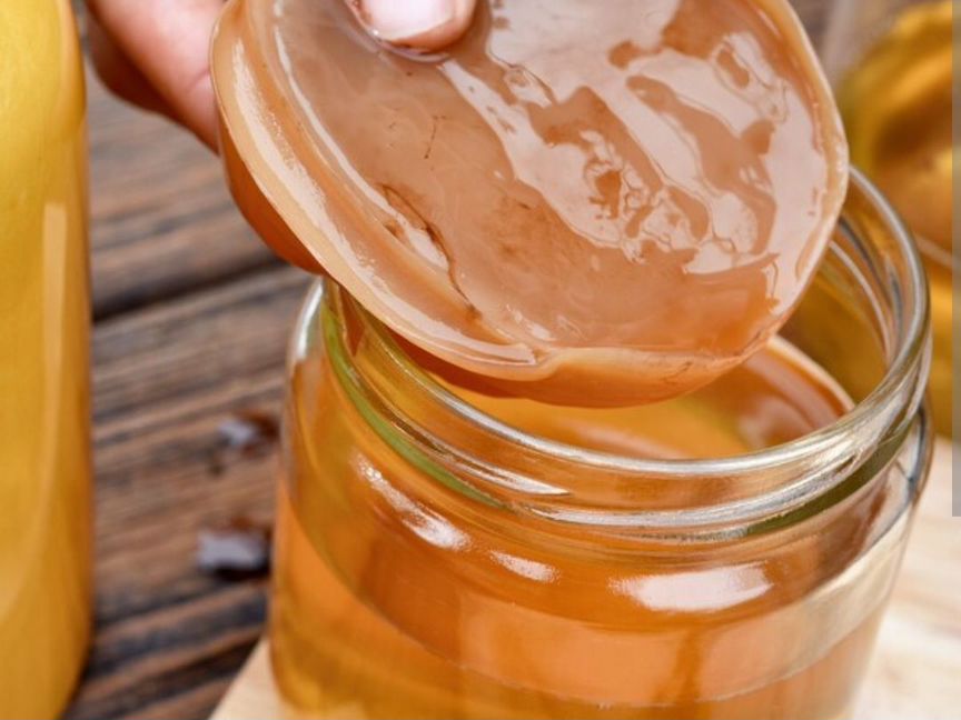 Чайный гриб