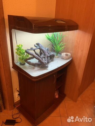 Аквариум Jebo r375 с тумбой купить в Москве | Животные и зоотовары | Авито
