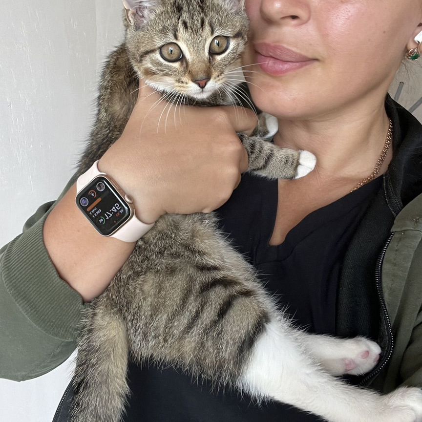 Ласковый котенок 3 мес