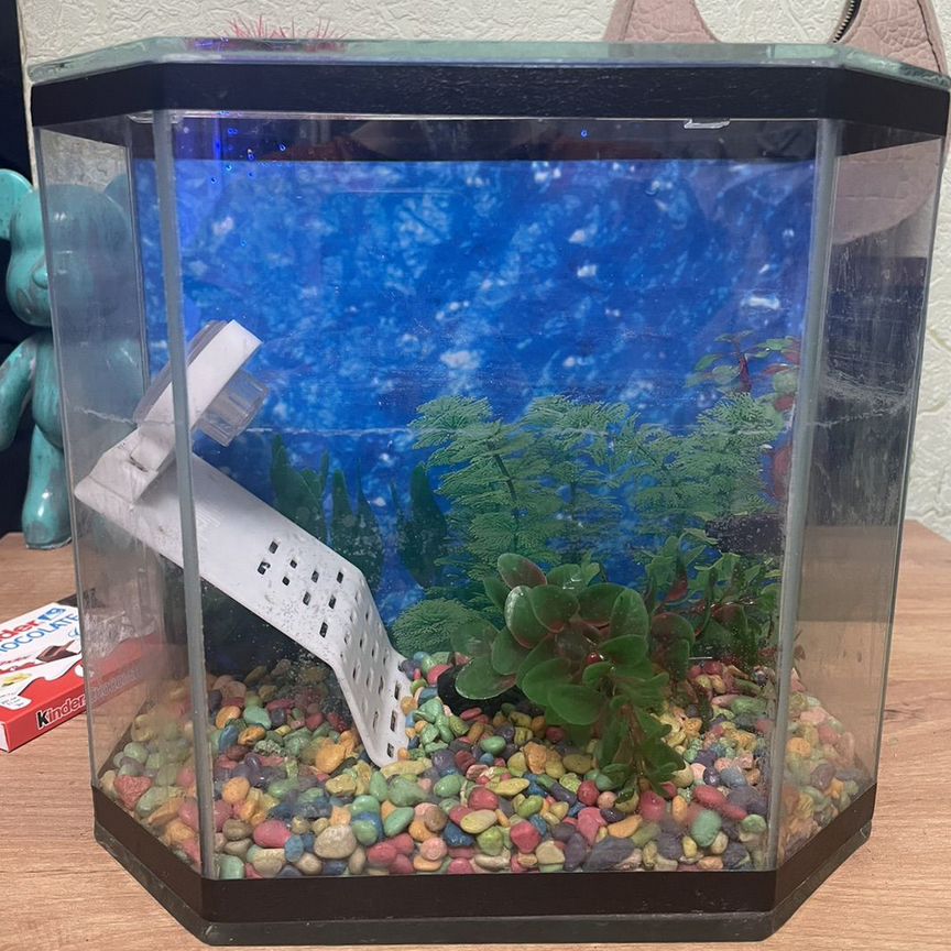 Аквариум для рыб или черепах