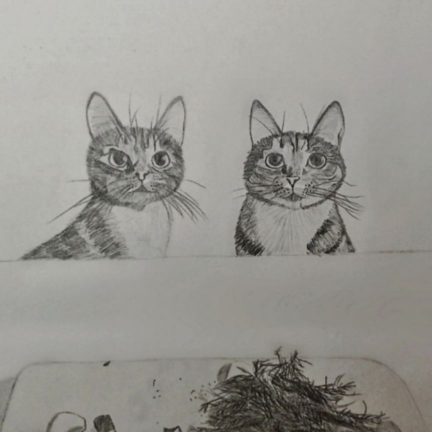 Рисунки домашний питомцев, животных