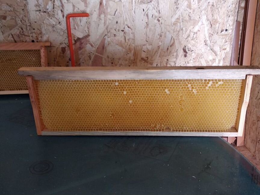 Сушь для пчёл