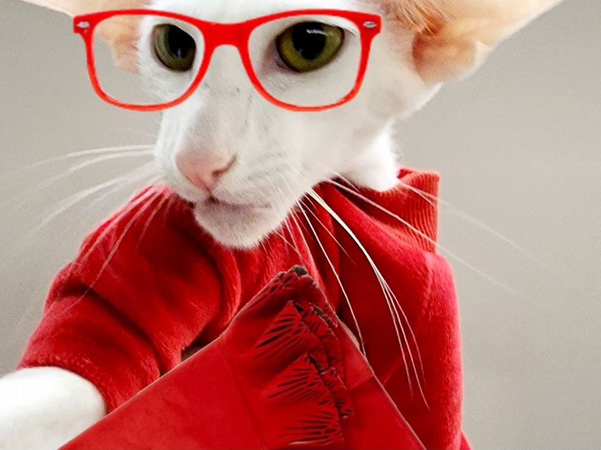 Ориентальная девочка