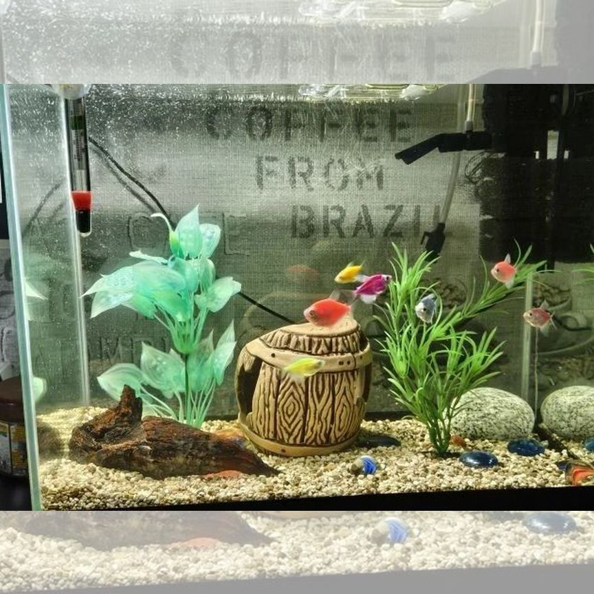 Аквариум 25 л