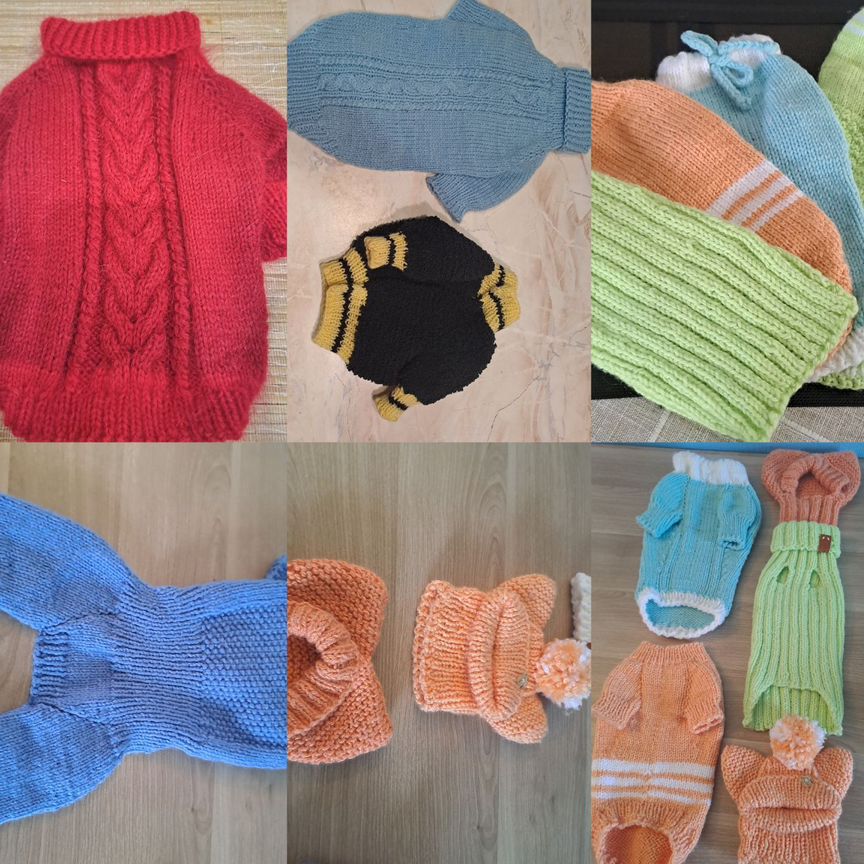 Вязанная одежда для собак