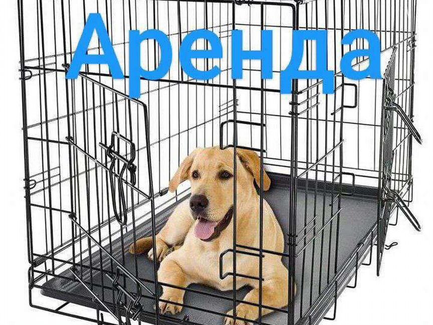 Клетка вольер переноски продажа аренда