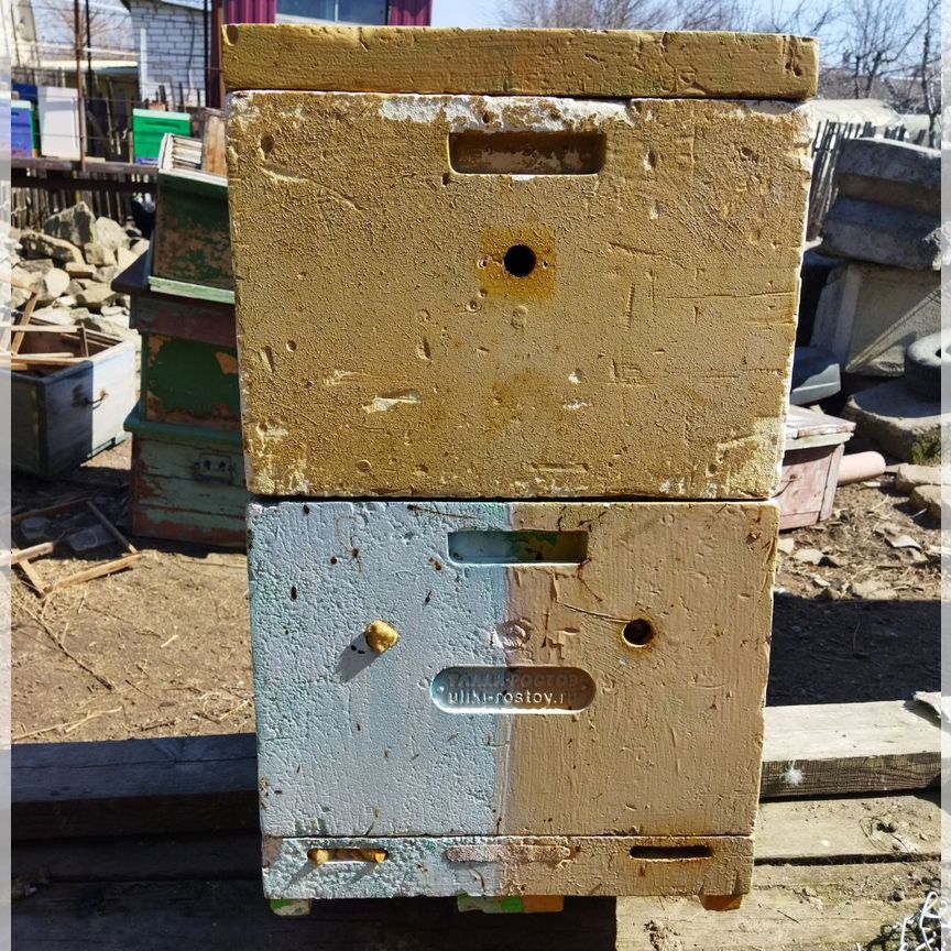 Пеноулики Ростов