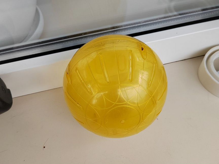 Шар для хомяка