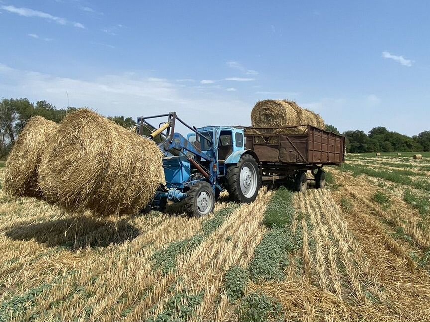 Сено в рулонах