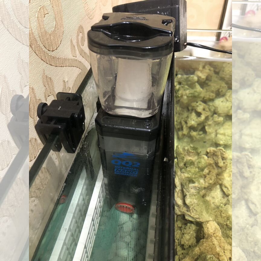 Скиммер для аквариума, свет, рыбы