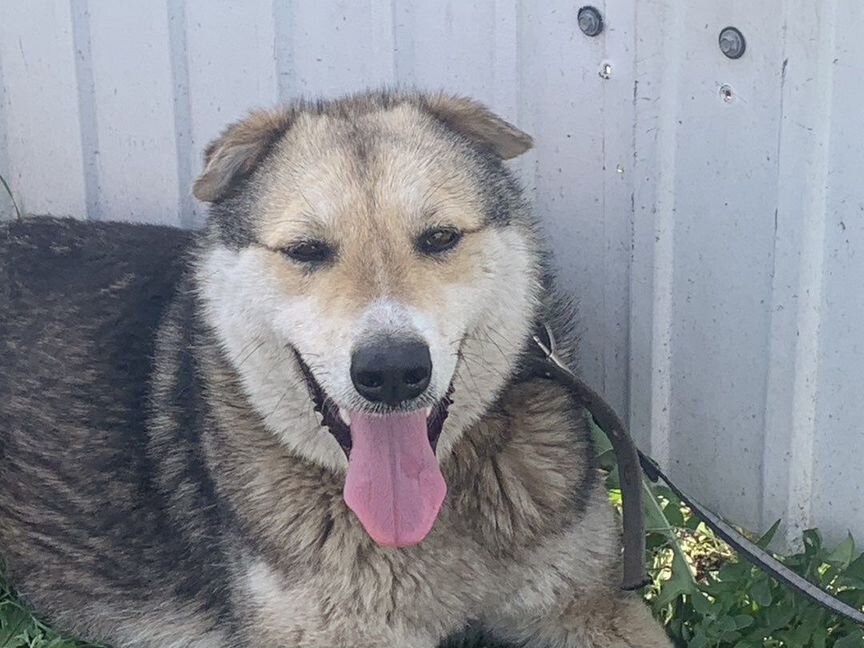 Хьюго ищет своего человека