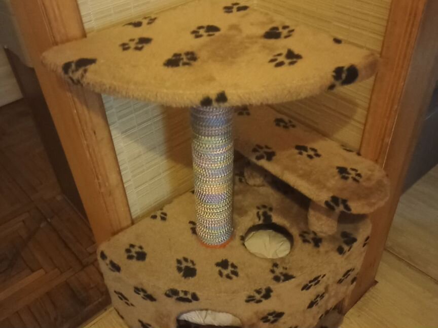 Когтеточка