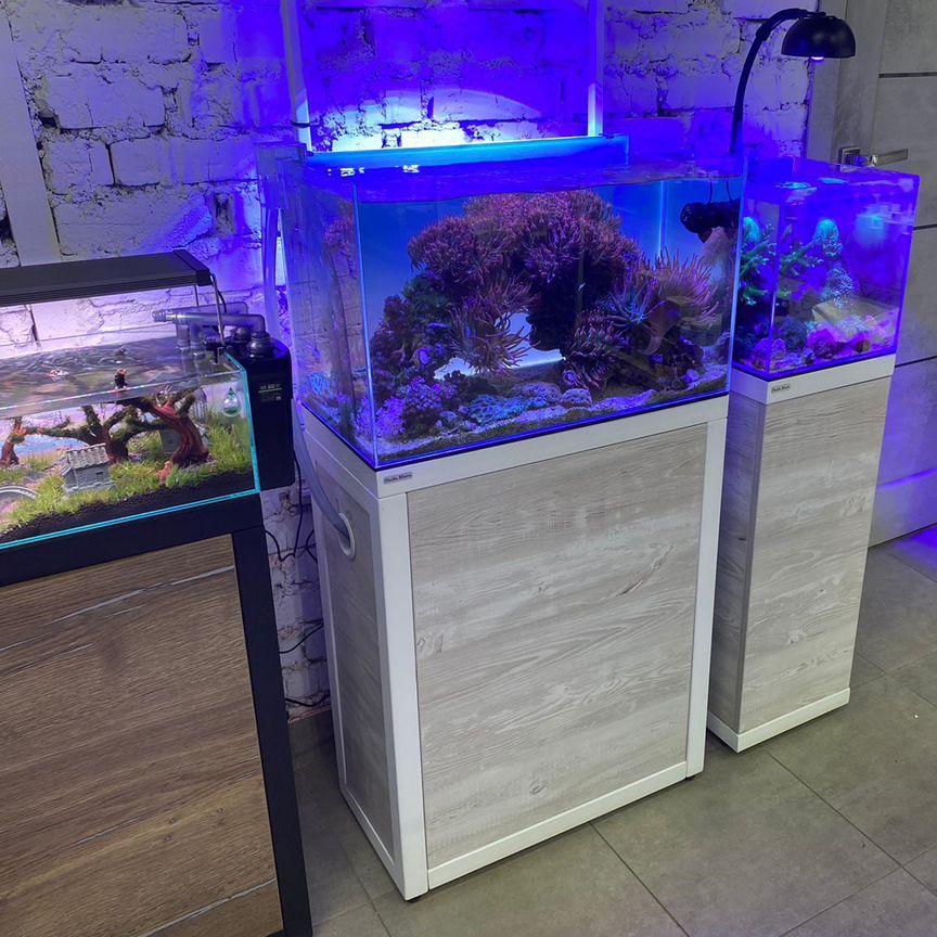 Морской аквариум с тумбой и оборудованием. 60 литр