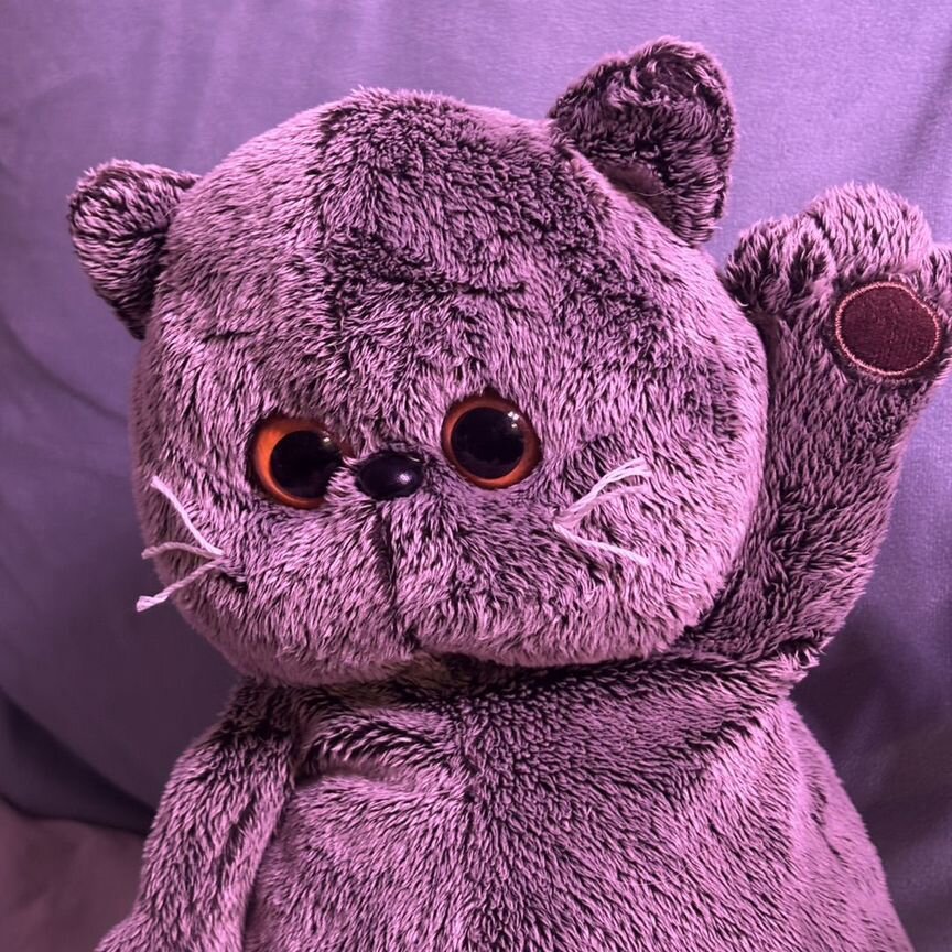 Кот басик 30 см холостой