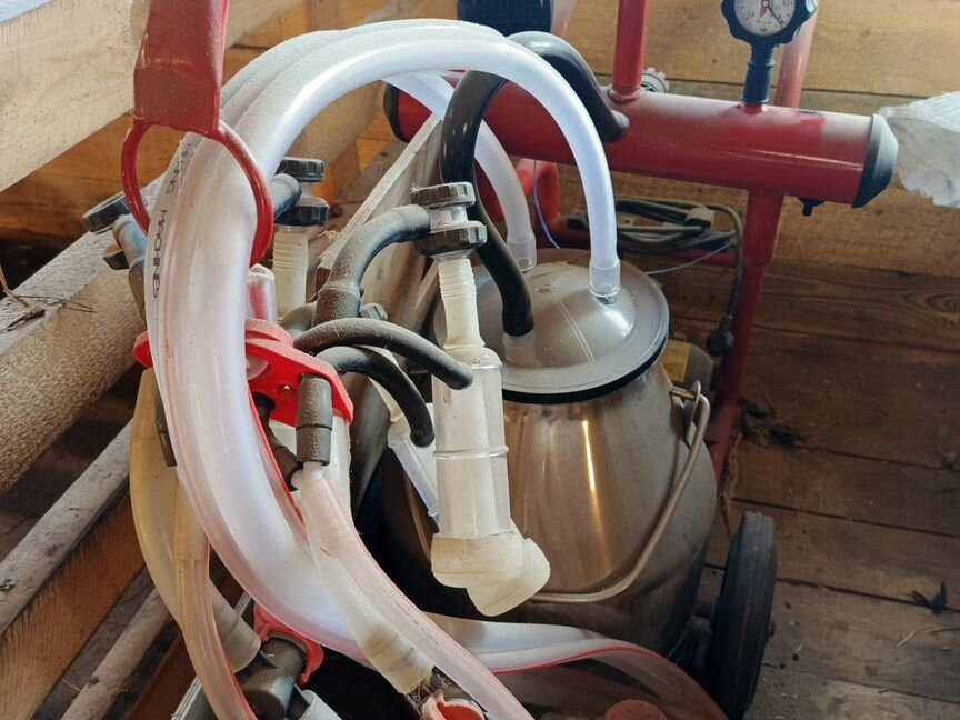 Доильный аппарат для коз Меласти