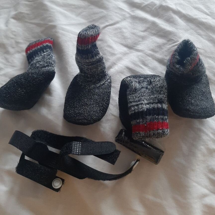 Носочки для собачки