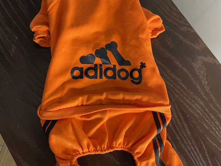 Одежда для маленьких собак