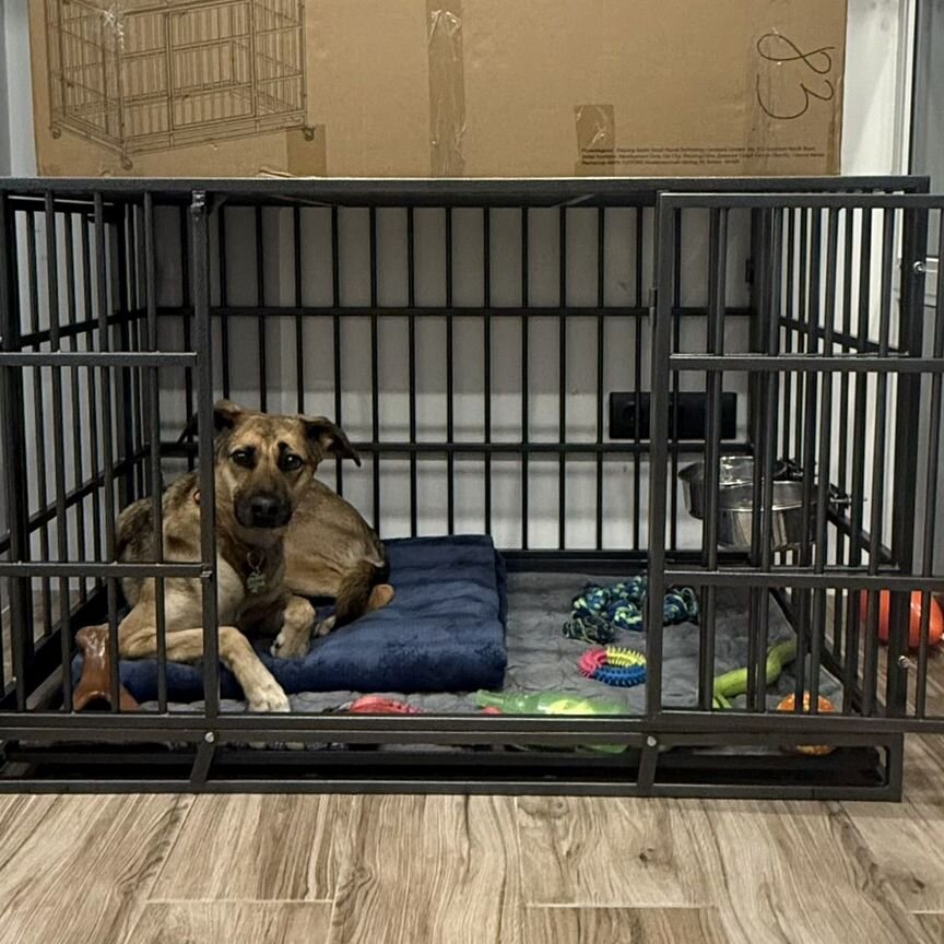 Клетка антивандальная для собак