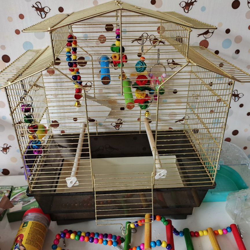 Клетка для попугая и полный набор аксессуаров