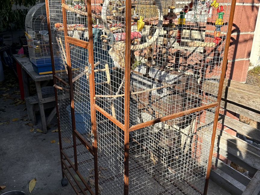 Продам вольер для попугаев