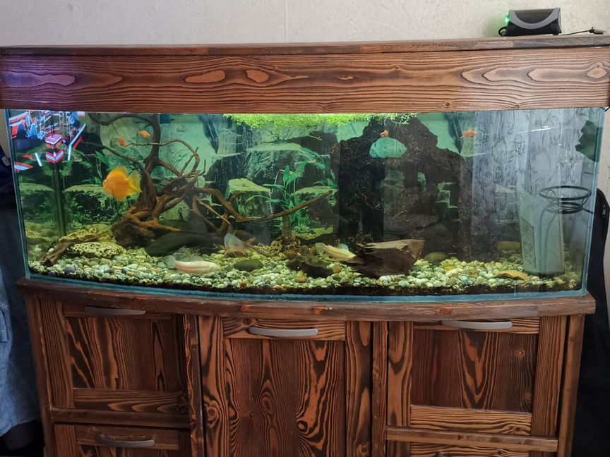 Аквариум с тумбой 375 литров