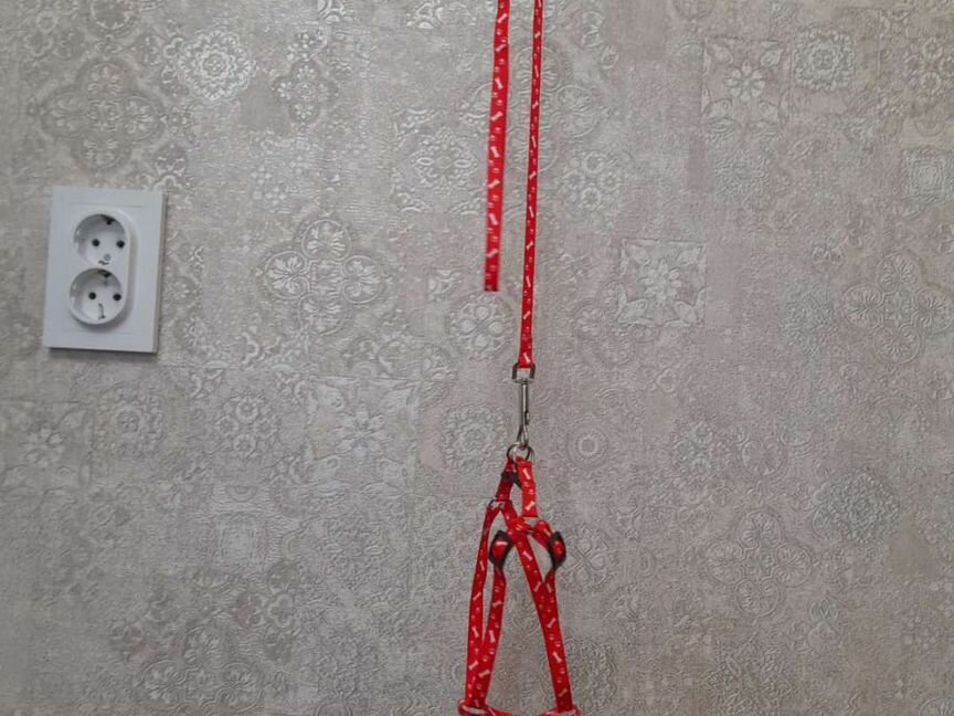 Поводок для животных средних размеров