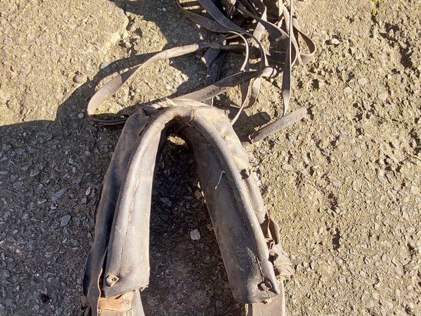 Хомут для осла или пони