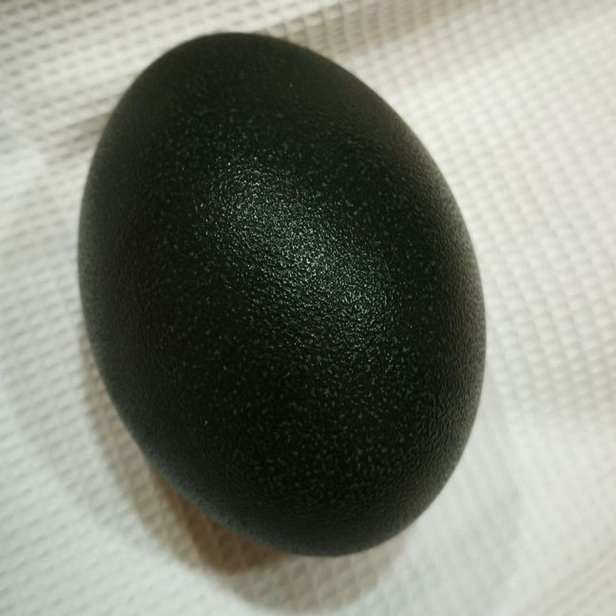 Страусиное яйцо пищевое