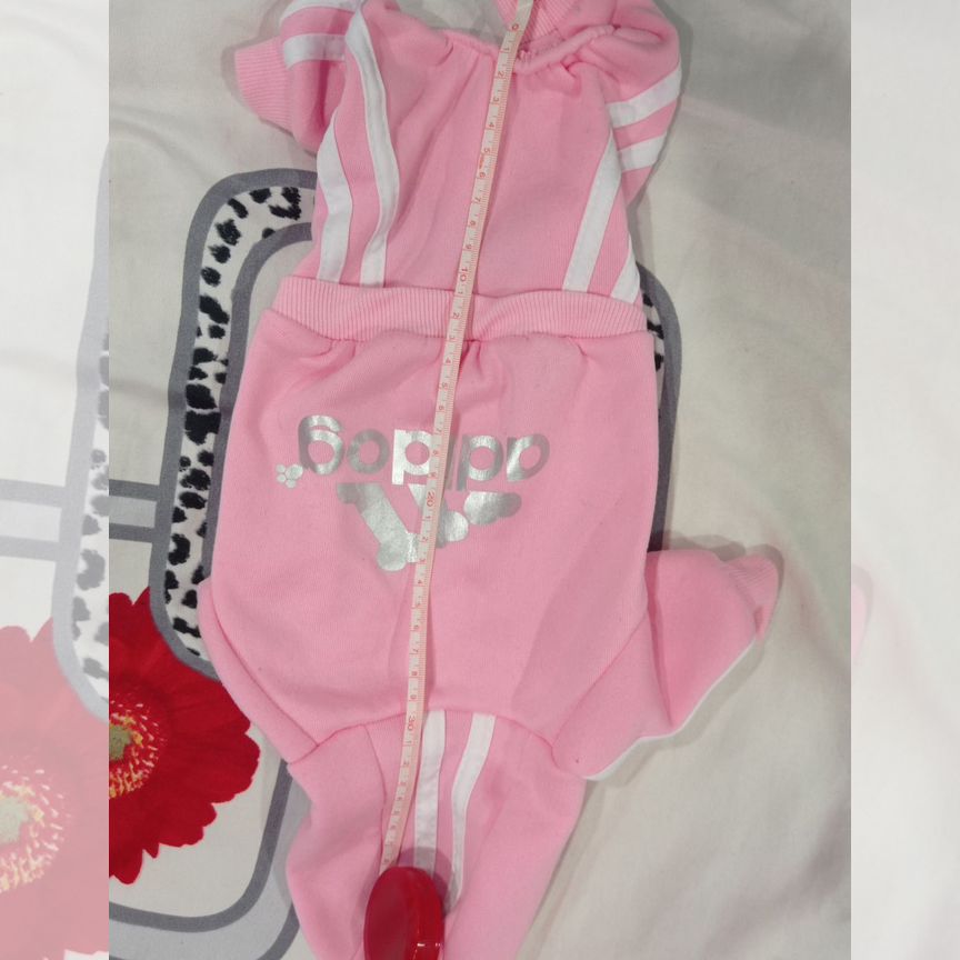 Одежда для маленьких пород собак