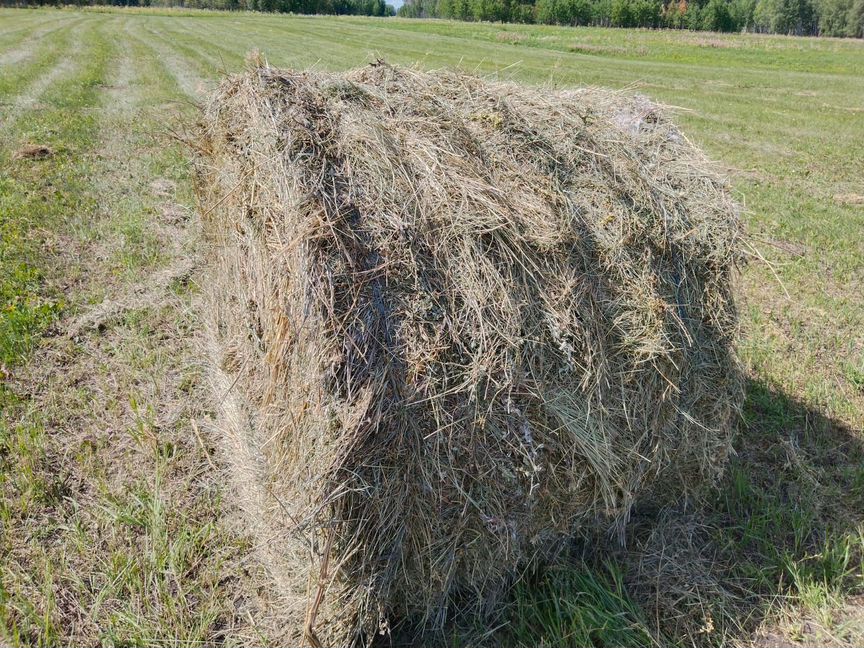 Сено луговое в рулонах 400кг