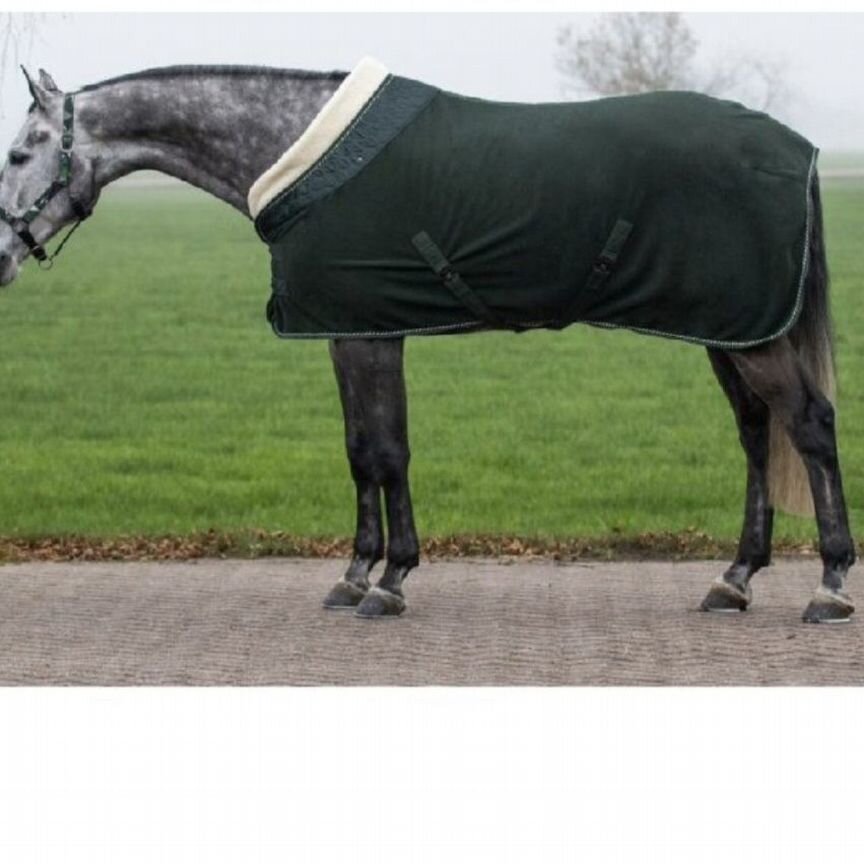Попона для лошади