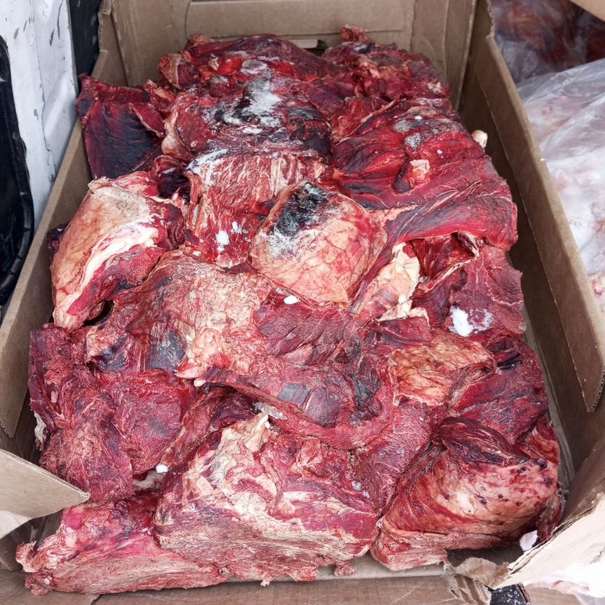 Мясо котлетное для собак