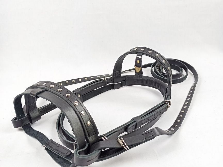 Узда для лошади украшенная с поводьями