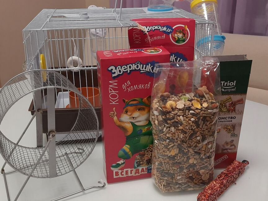 Все для грызуна