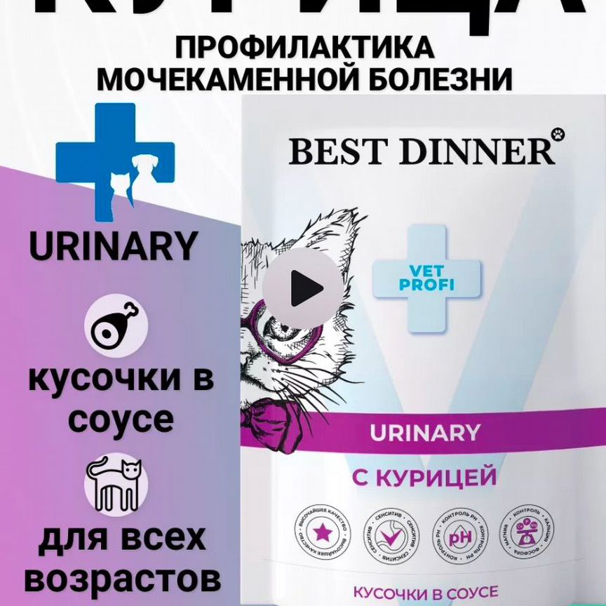Корм премиум влажный
