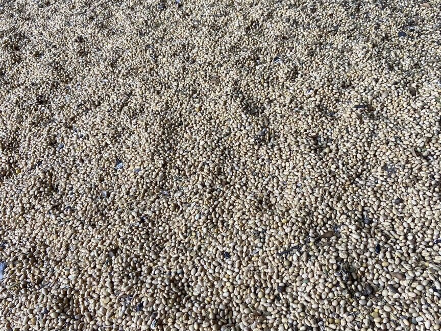 Соя колотая