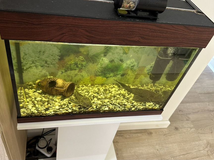 Аквариум с тумбой 60 литров