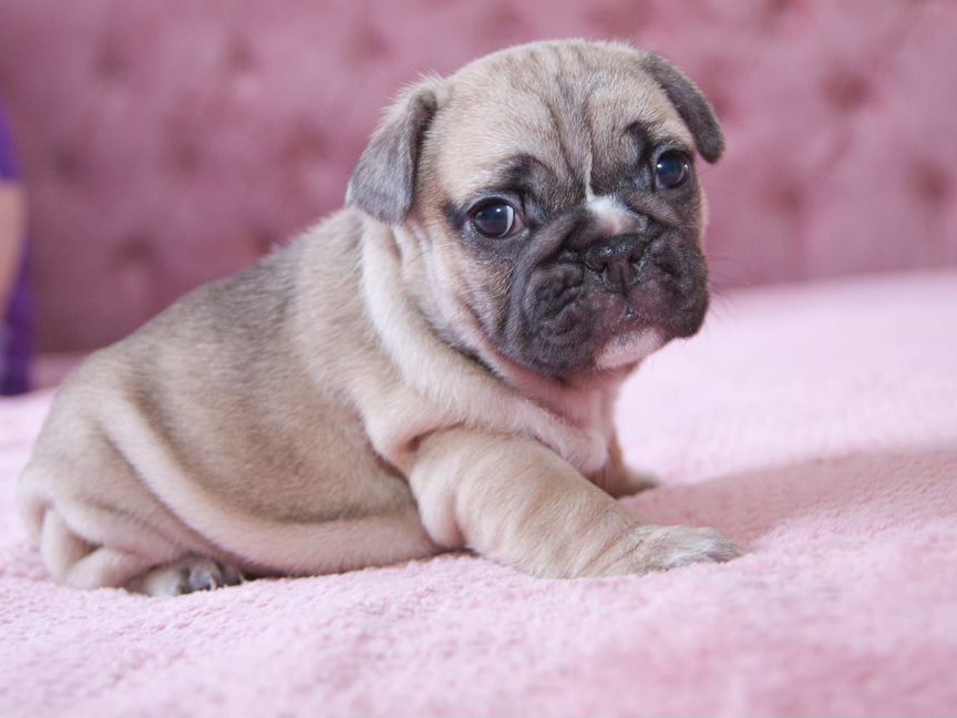 Няшные детки