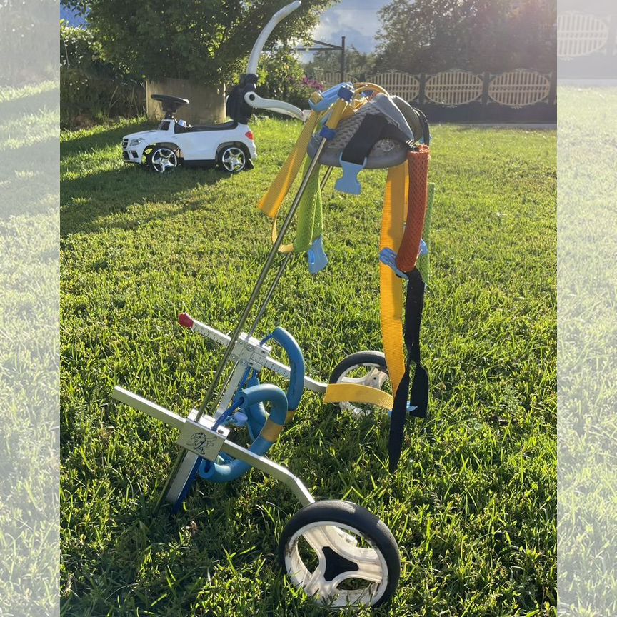 Коляска инвалидная для собаки