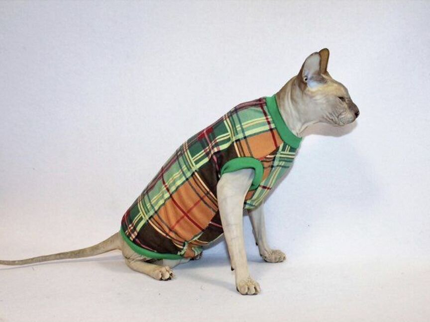 Майка для кота