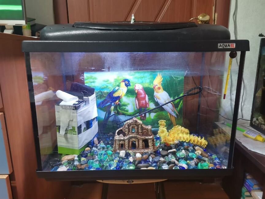 Аквариум