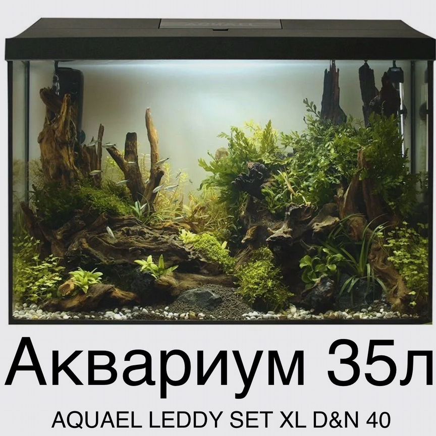 Аквариум 35л aquael leddy SET XL 40