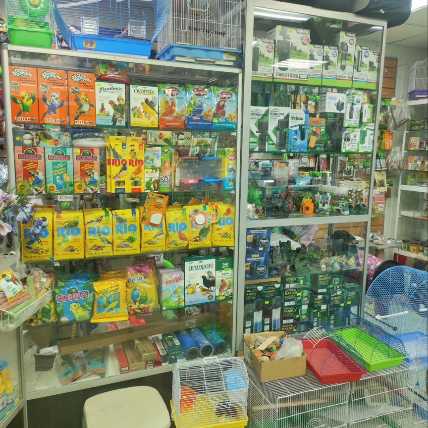 Зоо магазин Белочка и стрелочка