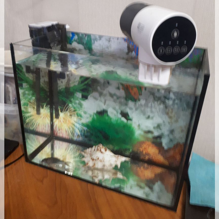 Аквариум со всеми атрибутами