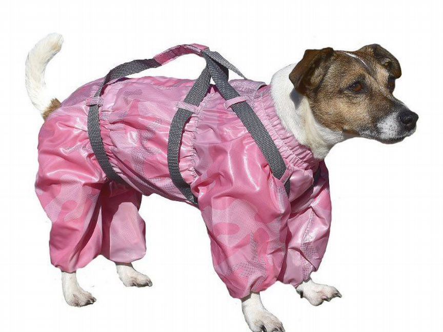 Комбинезон- переноска