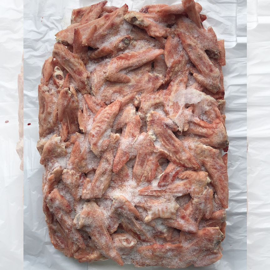 Третья фаланга индейки