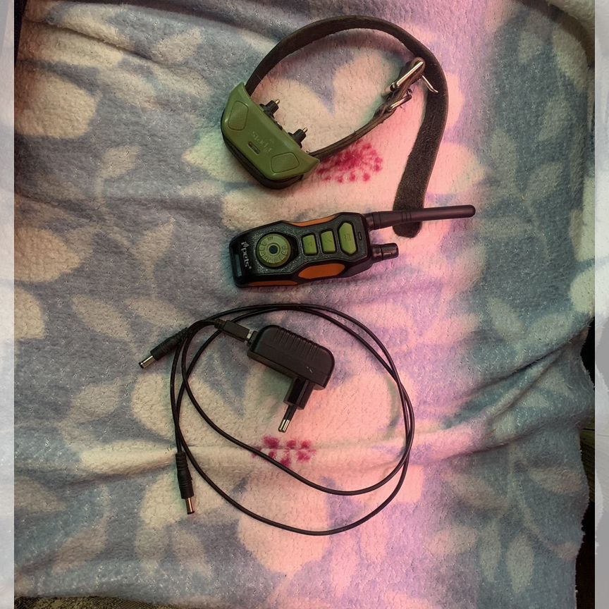 Ошейник для собак бу