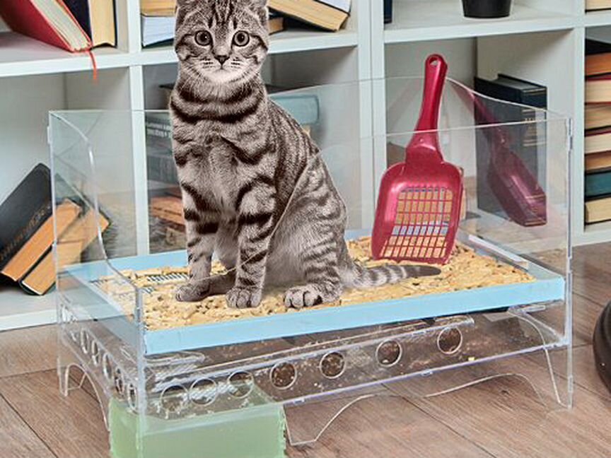 Лоток для кошек М прозрачный, 0.7л, усиленный